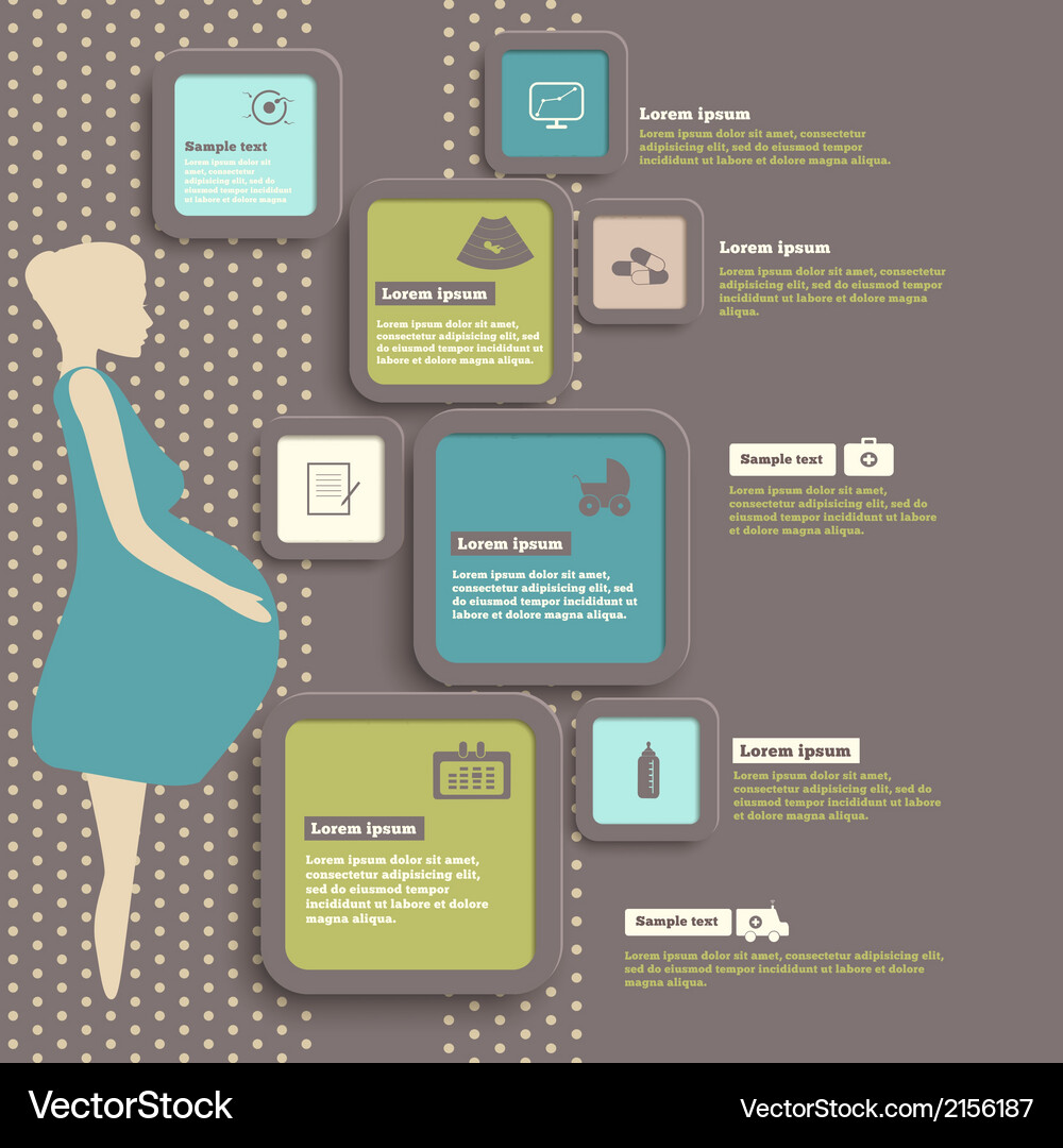 Pregnancy and birth infographics and icon set Vector Image