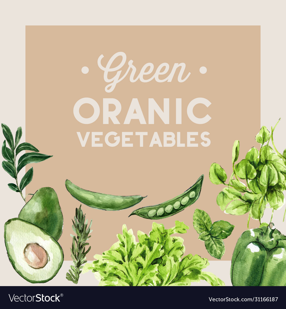 Vegetable watercolor paint collection fresh food Vector Image