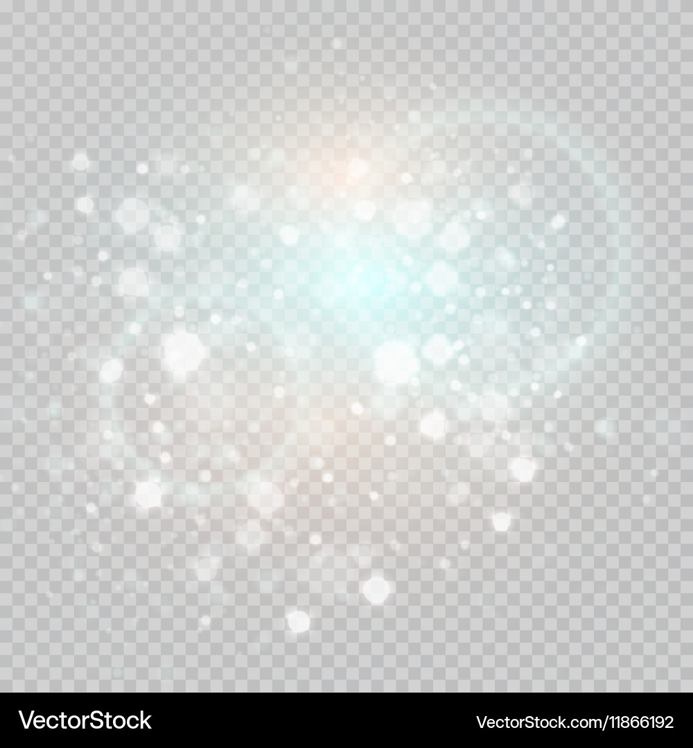 Bokeh light gray sparkles on transparency Vector Image