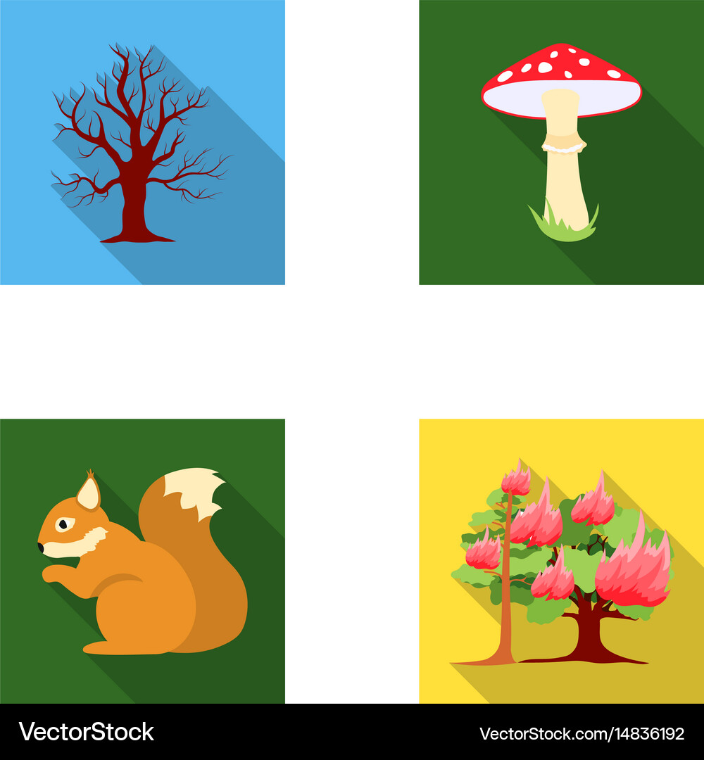 Dry tree protein poisonous fungus wildfire Vector Image