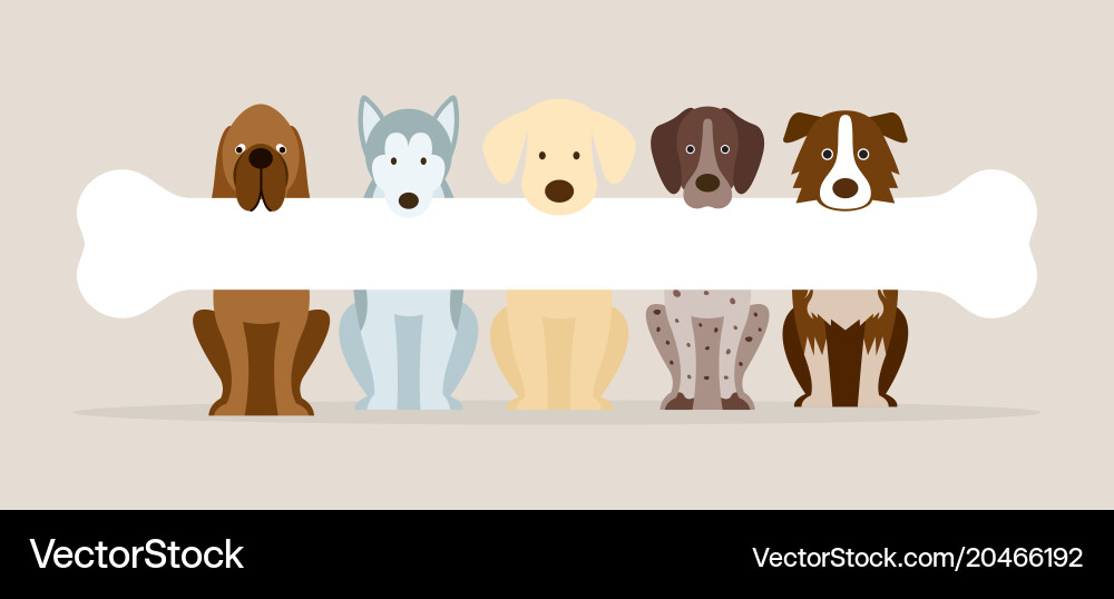 Group of dog breeds holding bone Royalty Free Vector Image