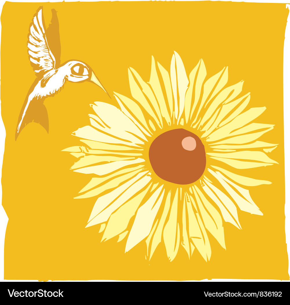 Hummingbird and flower Royalty Free Vector Image