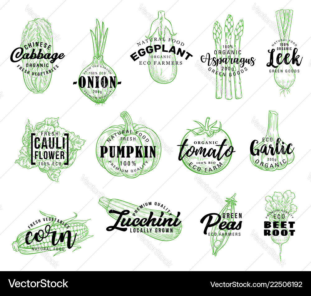 Organic vegetables harvest lettering Royalty Free Vector