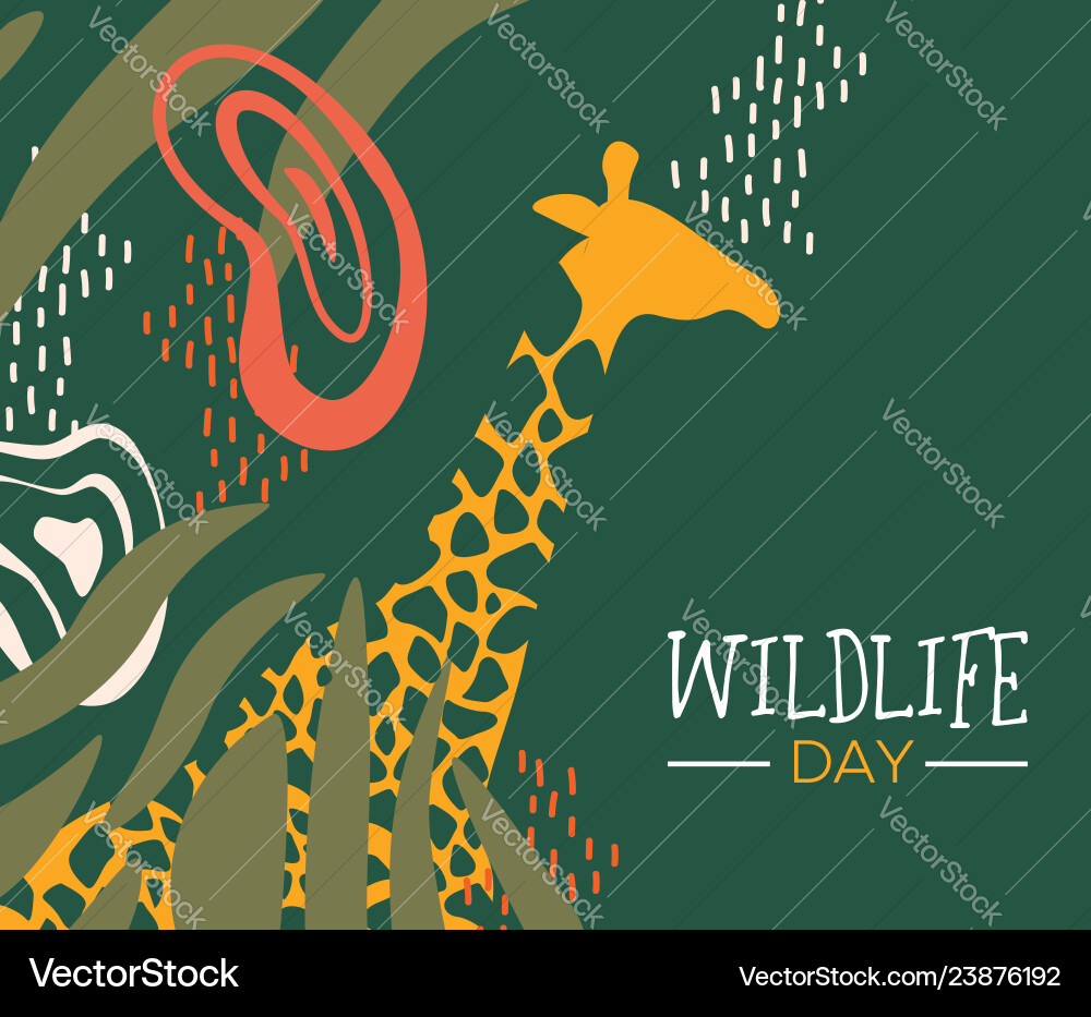 Wildlife day safari web banner with giraffe Vector Image