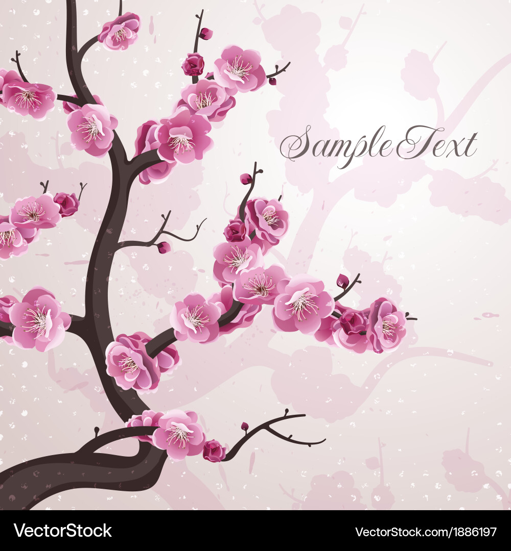 Cherry flowers card with spring blossom Royalty Free Vector