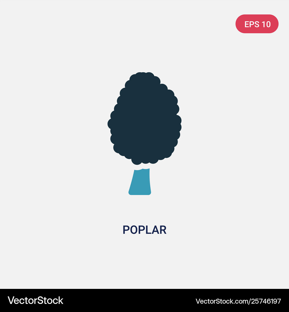 Two color poplar icon from nature concept Vector Image
