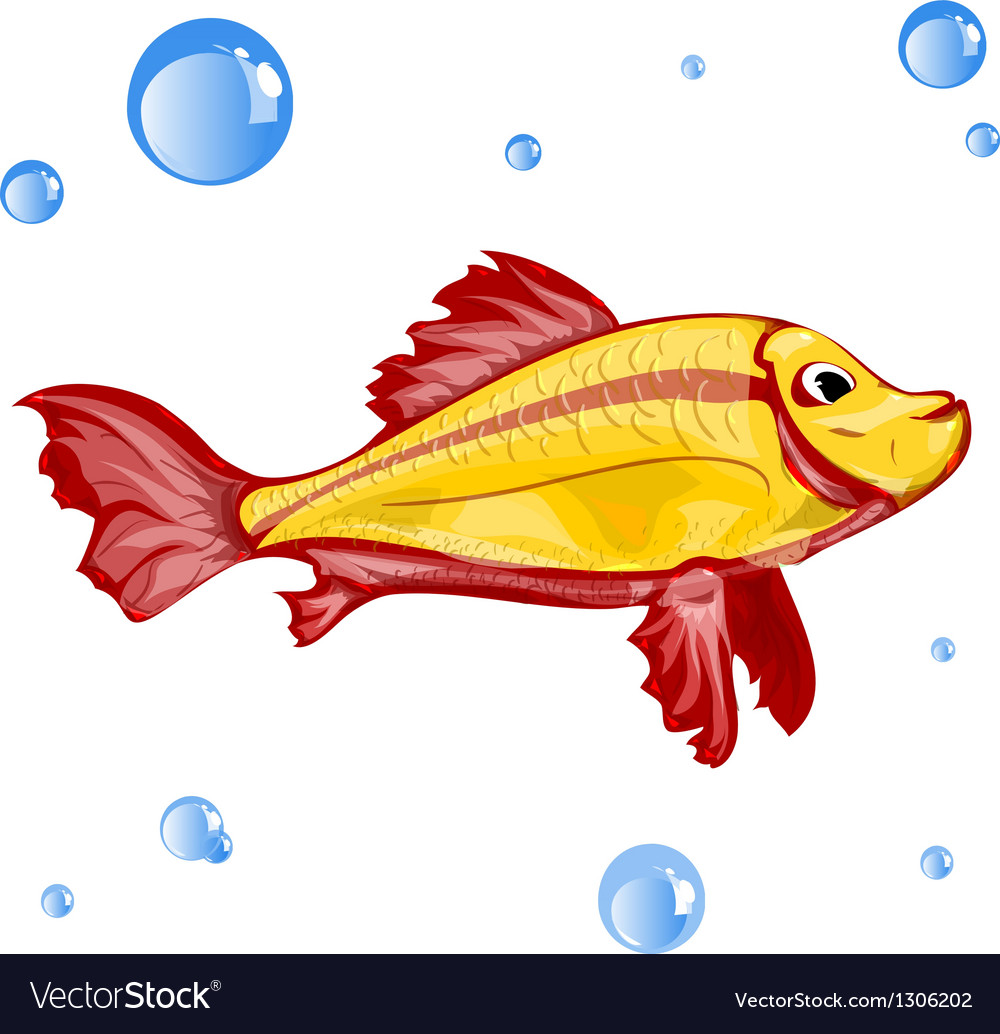 Fish Royalty Free Vector Image - VectorStock