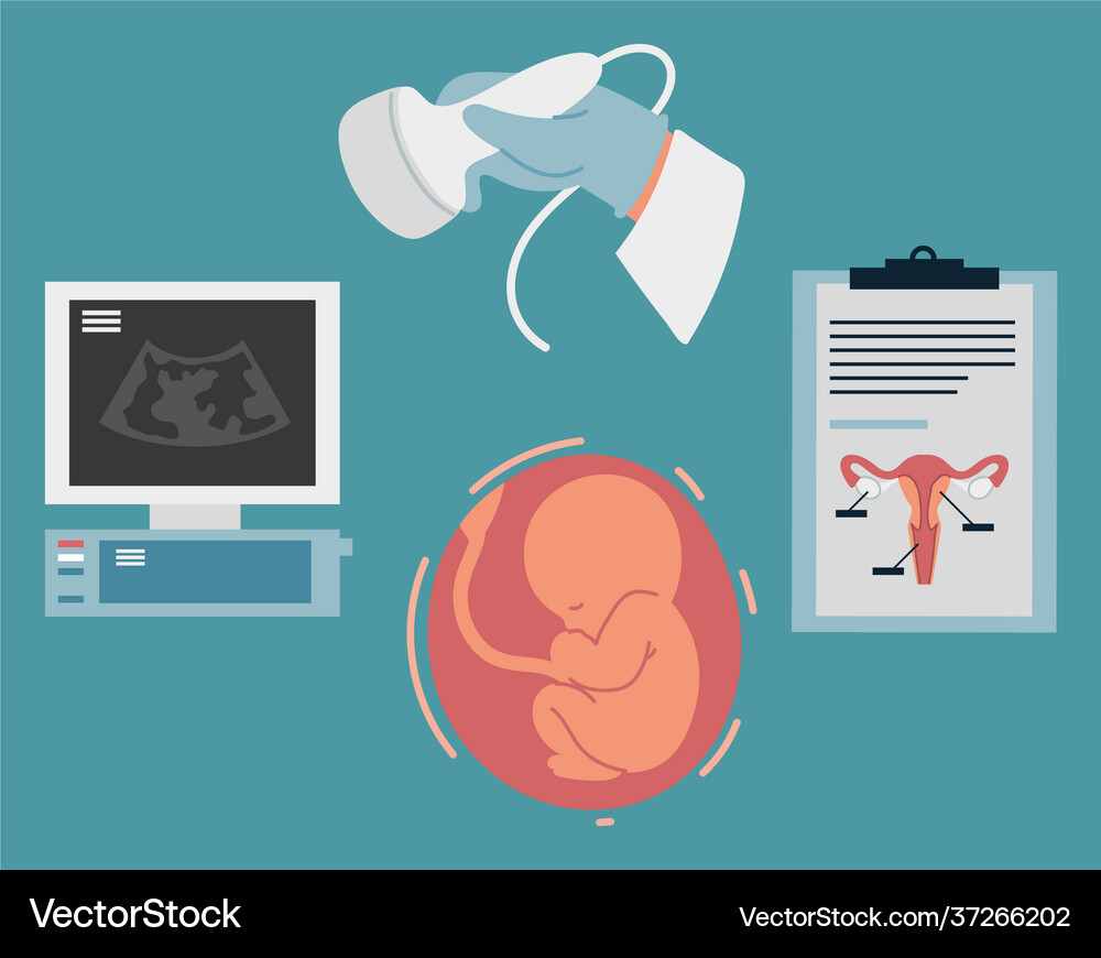 Medicine gynecology set Royalty Free Vector Image