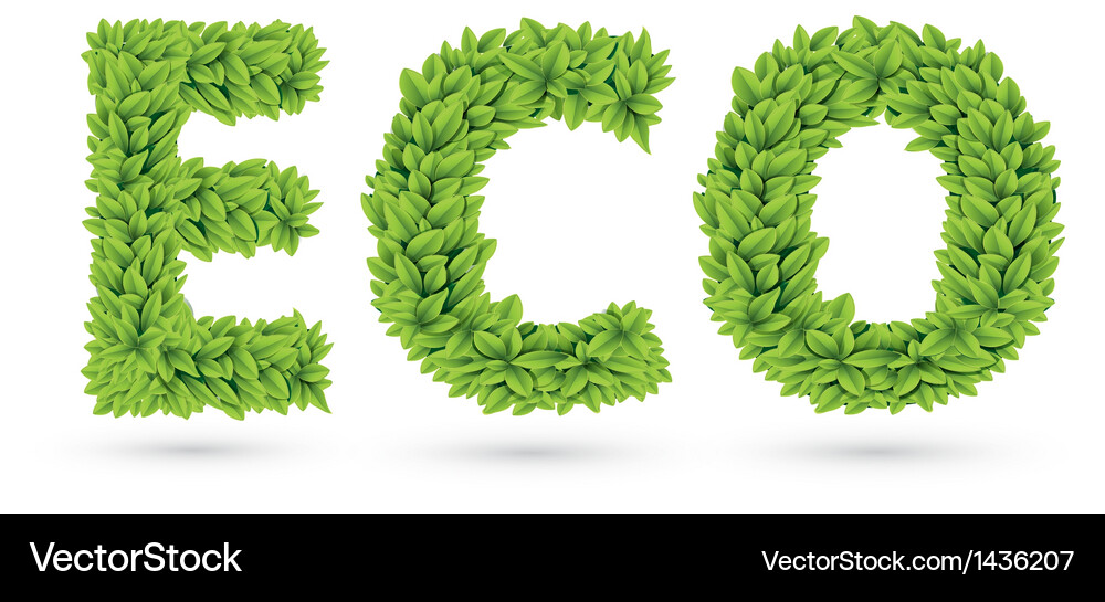 Eco text of green leaves Royalty Free Vector Image