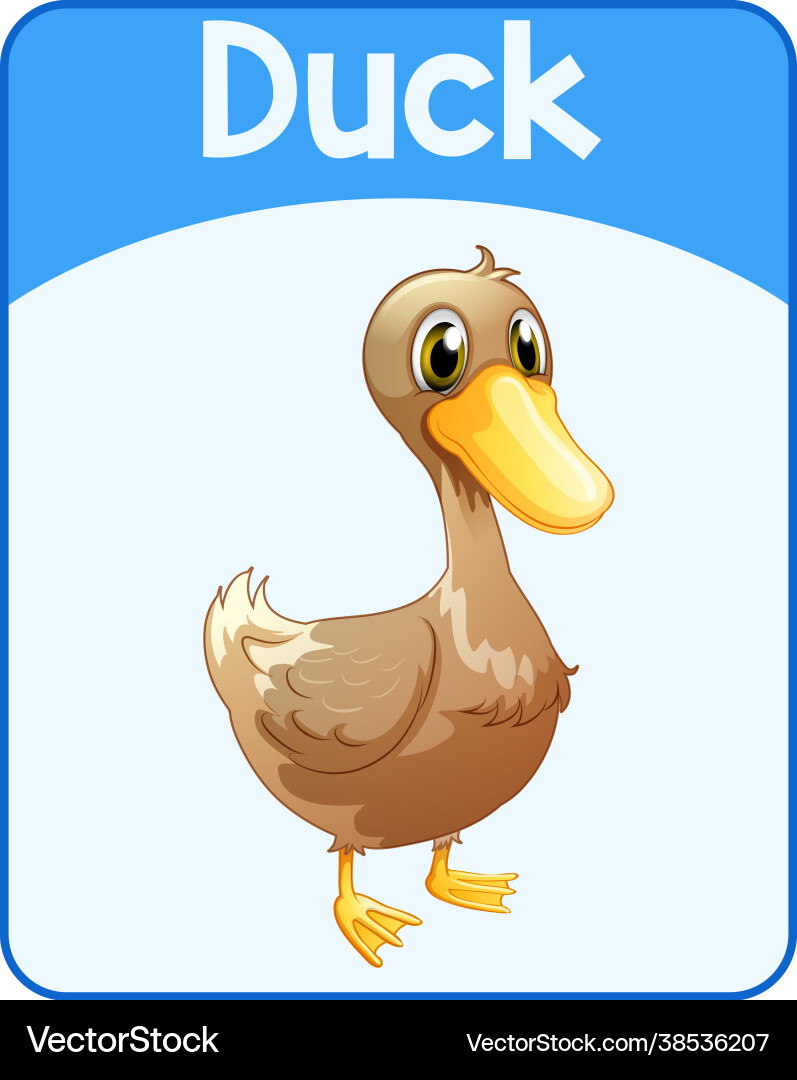 Educational english word card duck Royalty Free Vector Image