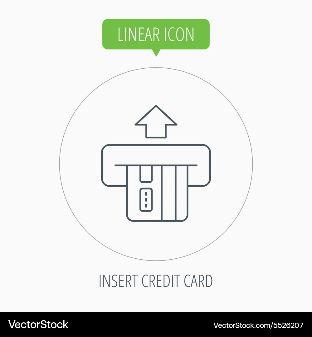 Insert credit card icon shopping sign Royalty Free Vector