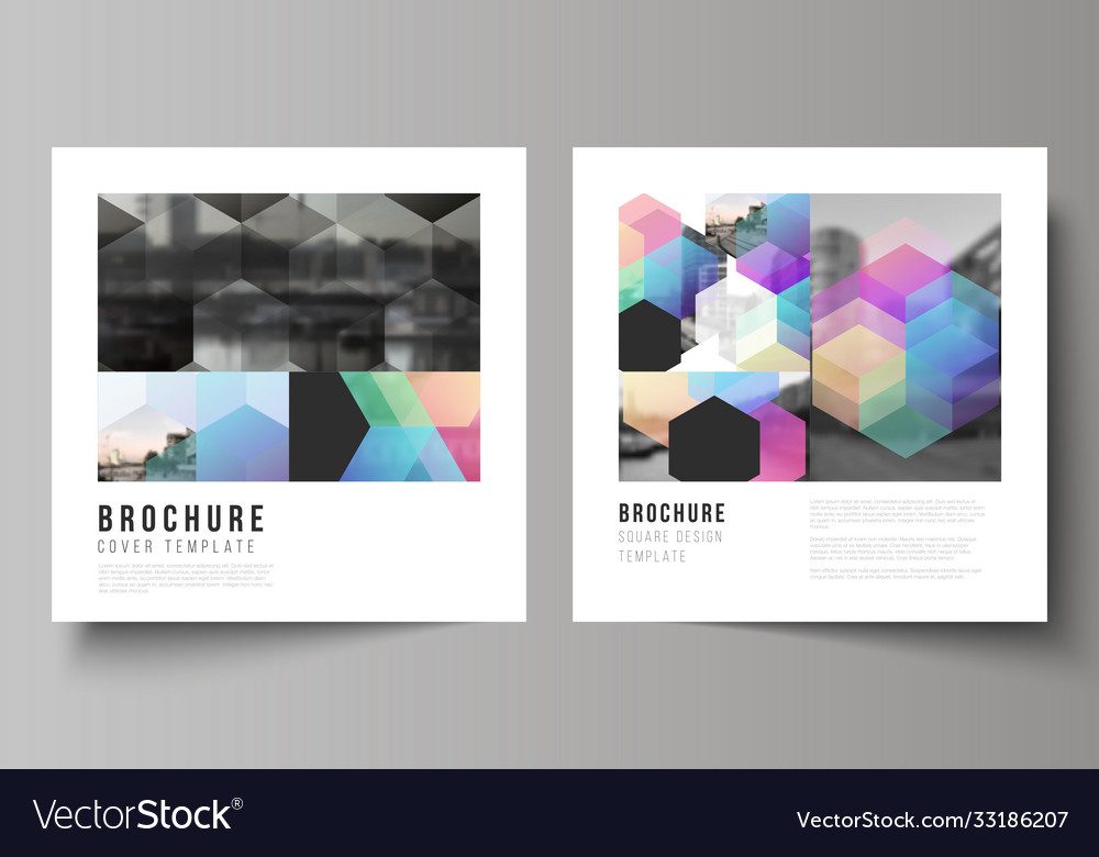 Layout two square format covers design Royalty Free Vector
