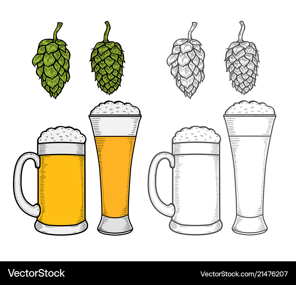 Two glasses of beer Royalty Free Vector Image - VectorStock