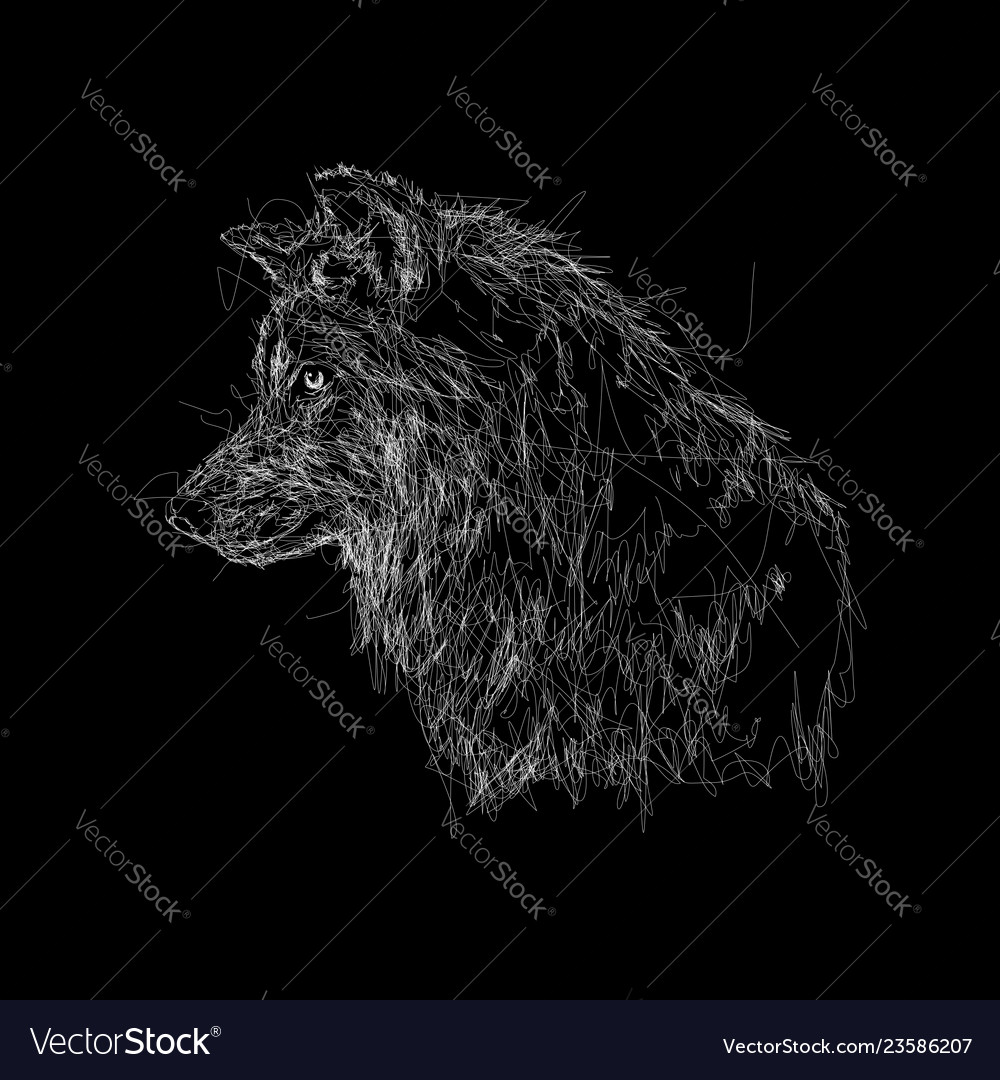 Wolf scribble Royalty Free Vector Image - VectorStock