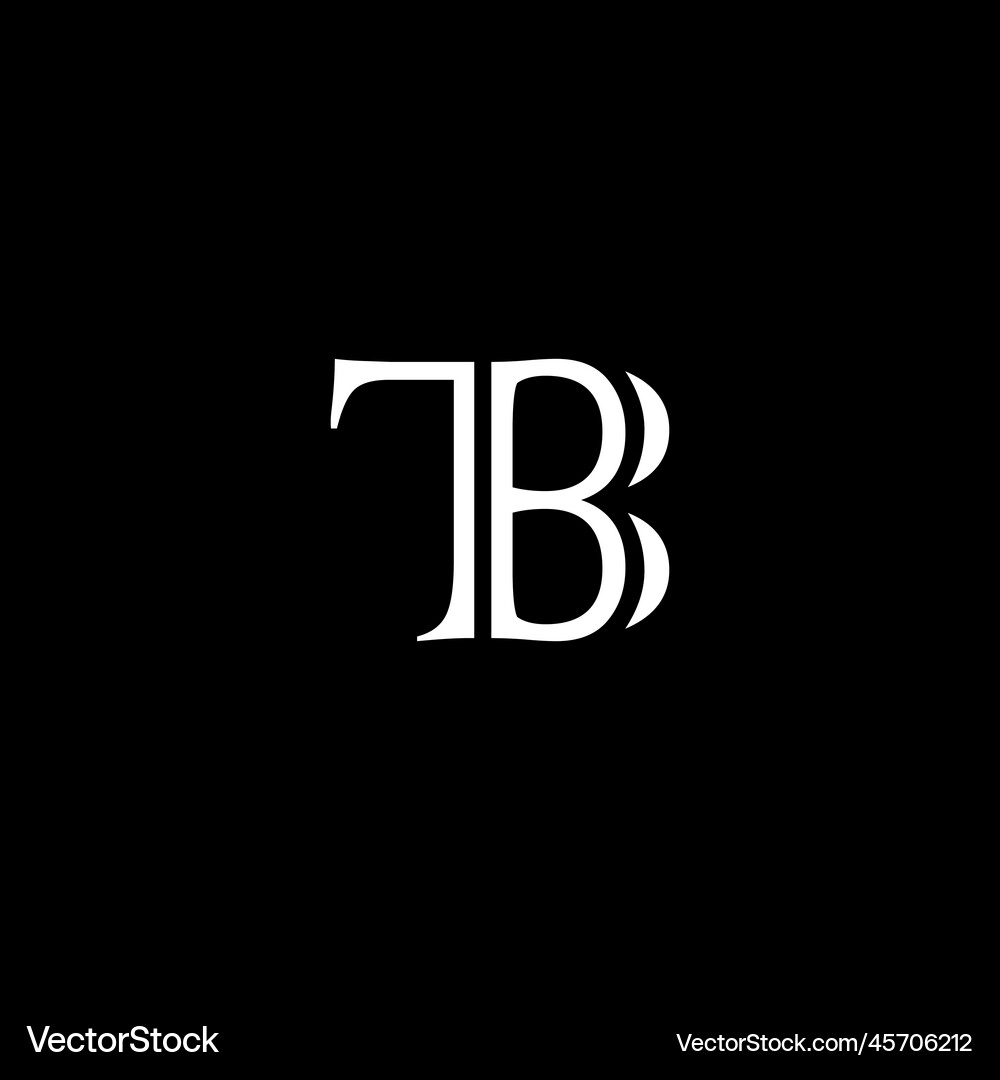 Bt or tb abstract outstanding professional Vector Image