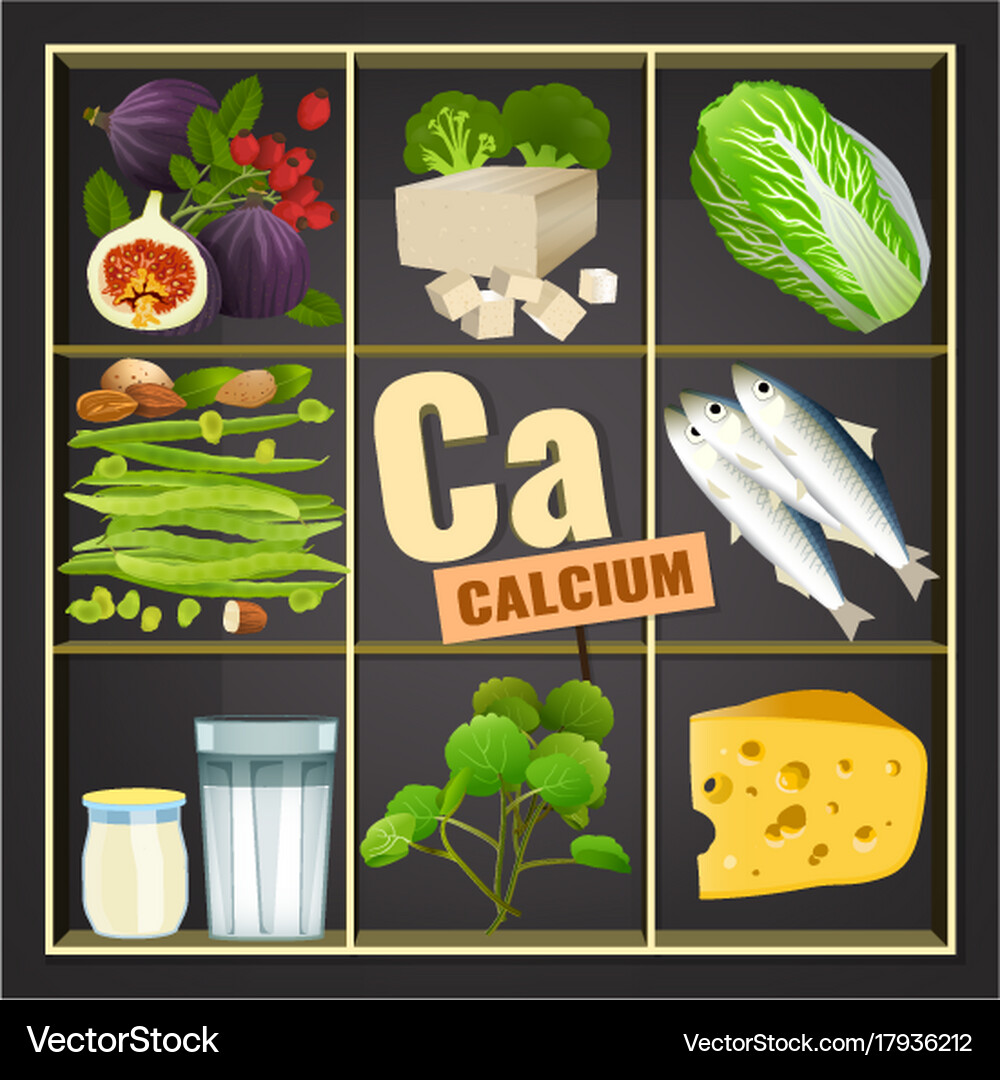 Calcium in food Royalty Free Vector Image - VectorStock