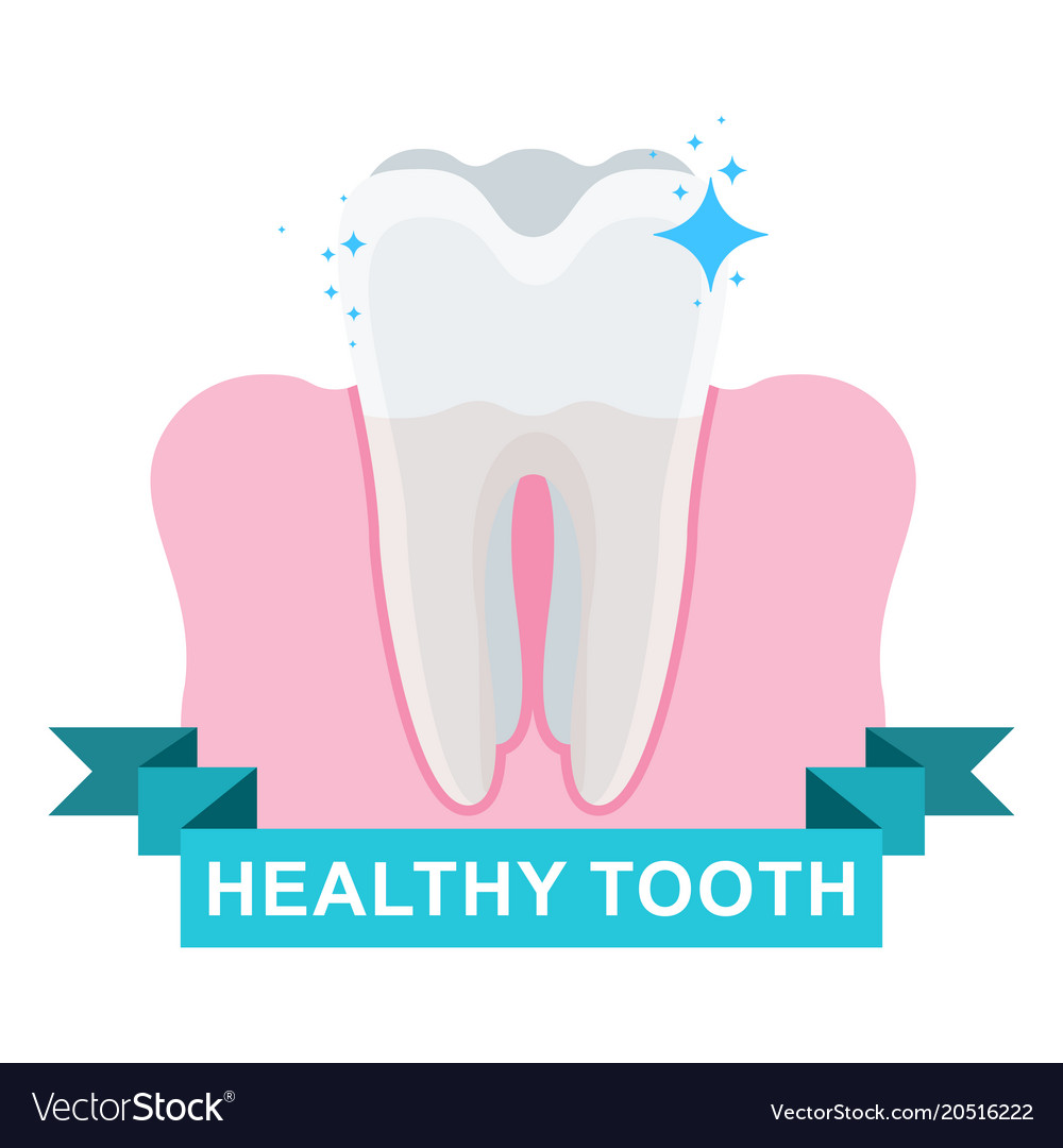 Healthy tooth and gum Royalty Free Vector Image