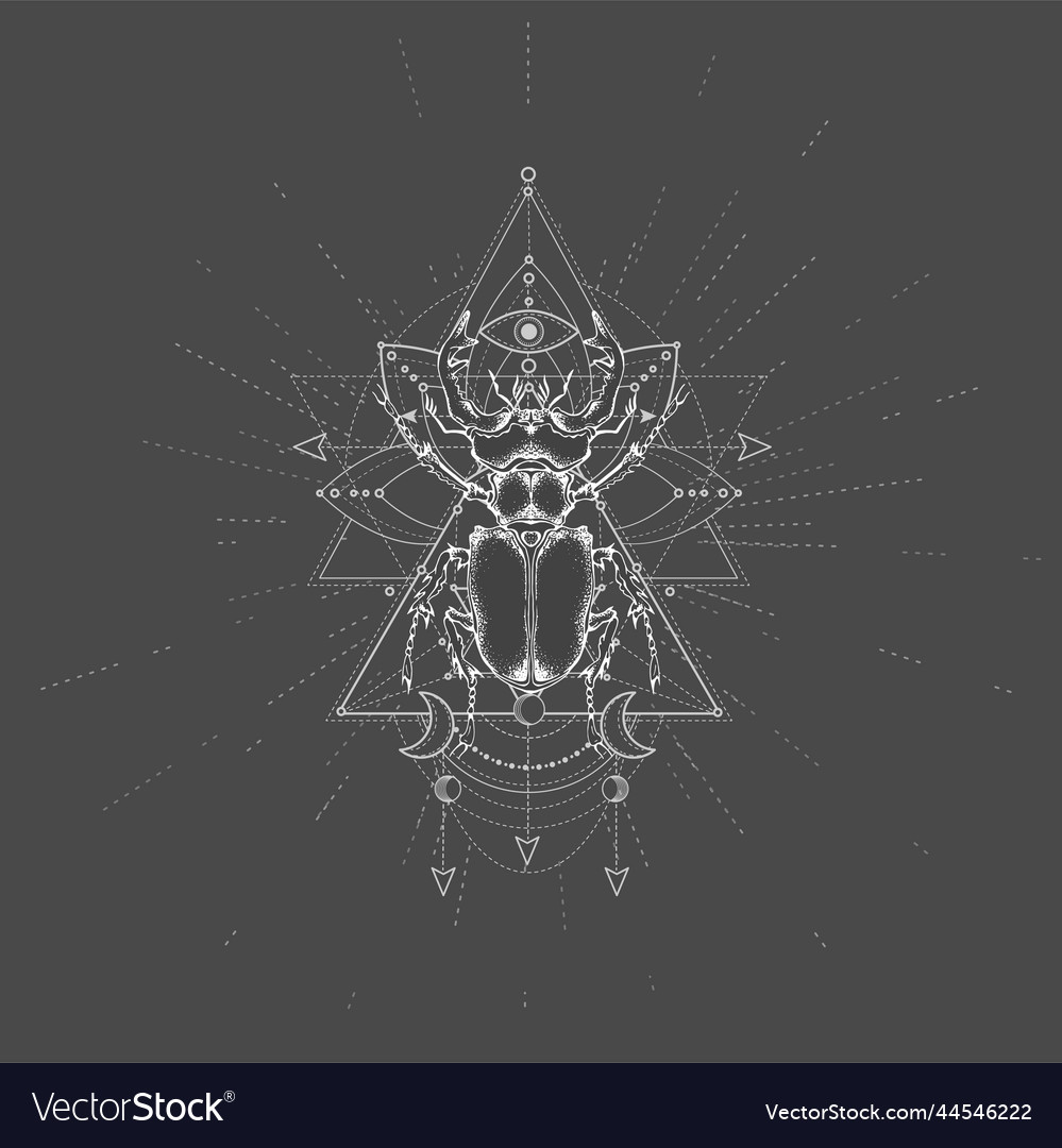 Stag beetle Royalty Free Vector Image - VectorStock