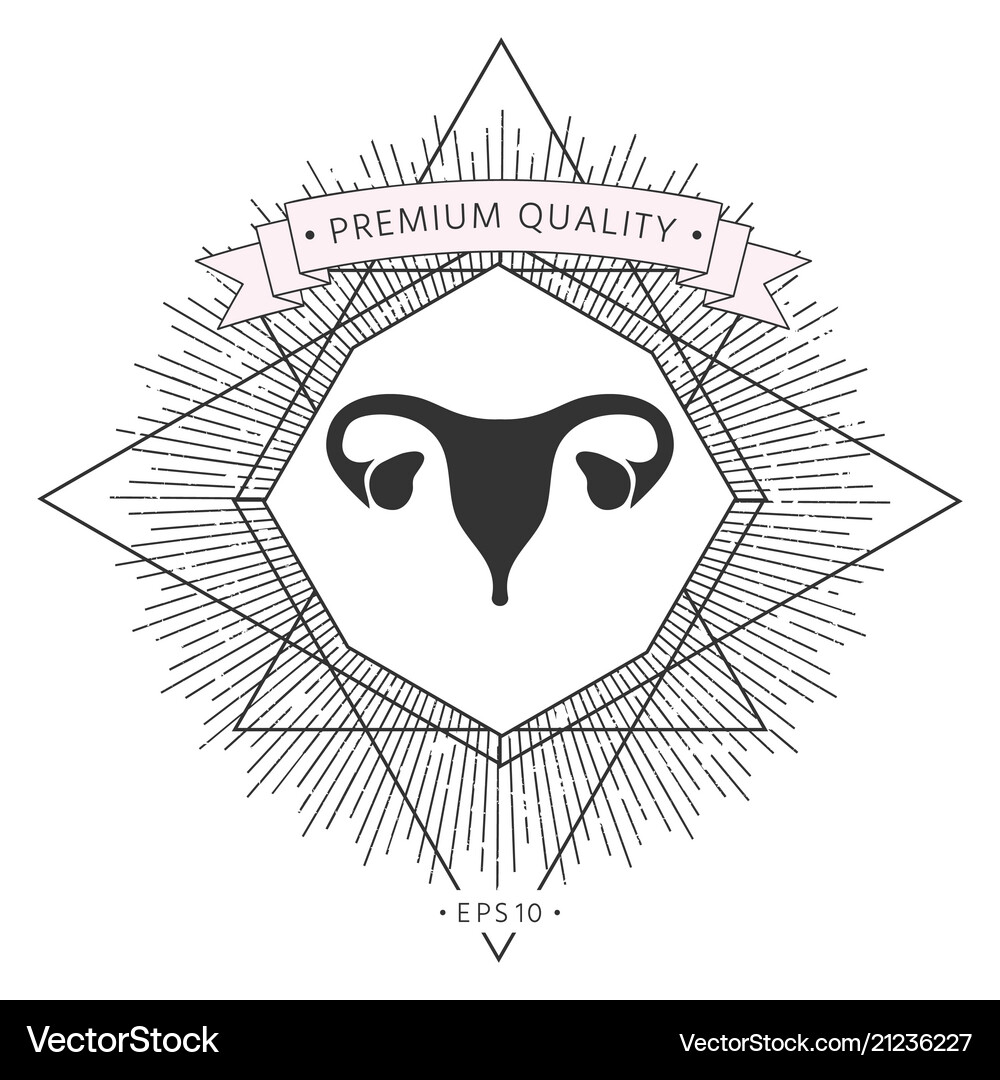 Human organs female uterus icon Royalty Free Vector Image