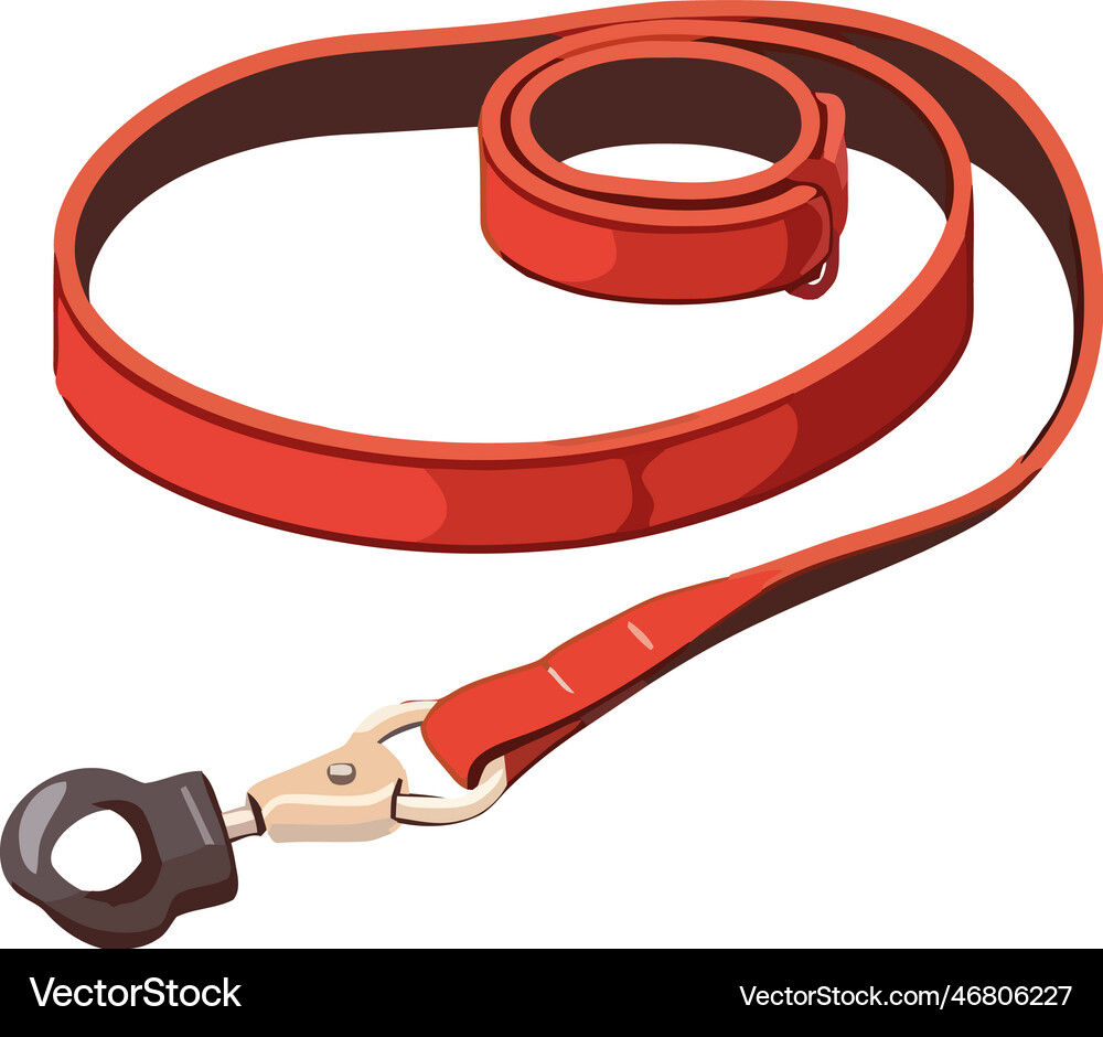 Leather leash for walking and pets leading Vector Image