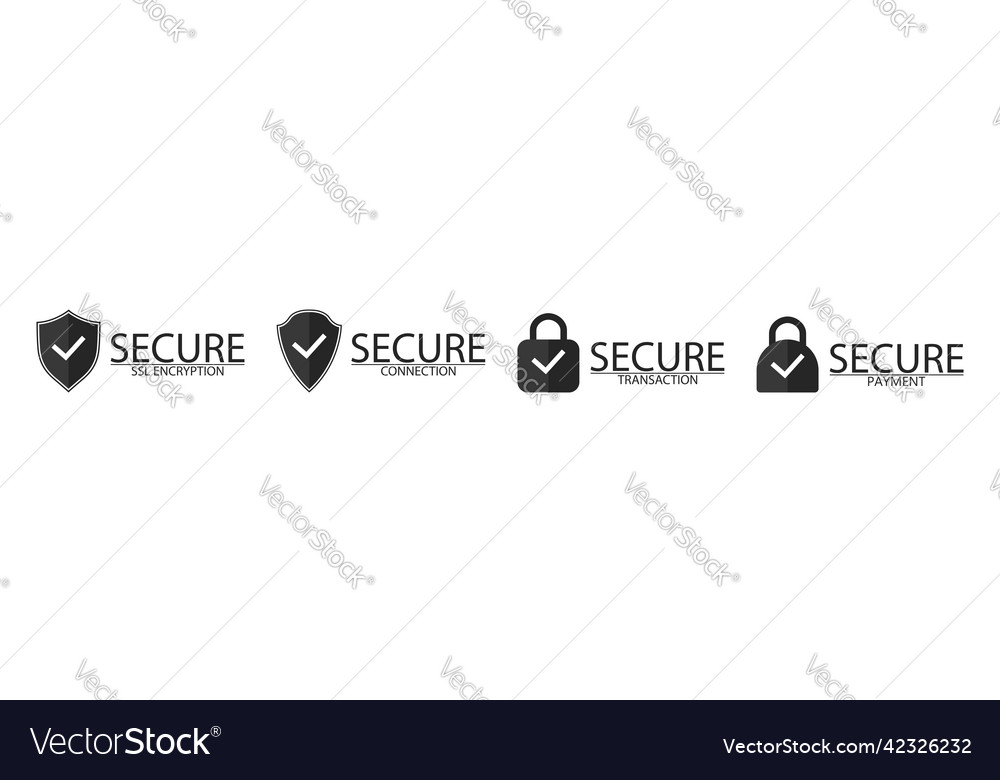 Secure ssl encryption connection transaction Vector Image