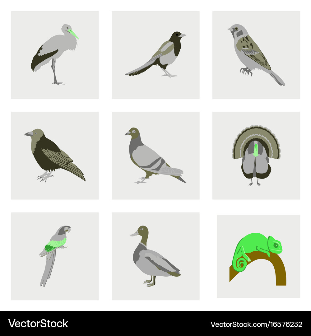 Set of in flat style birds Royalty Free Vector Image
