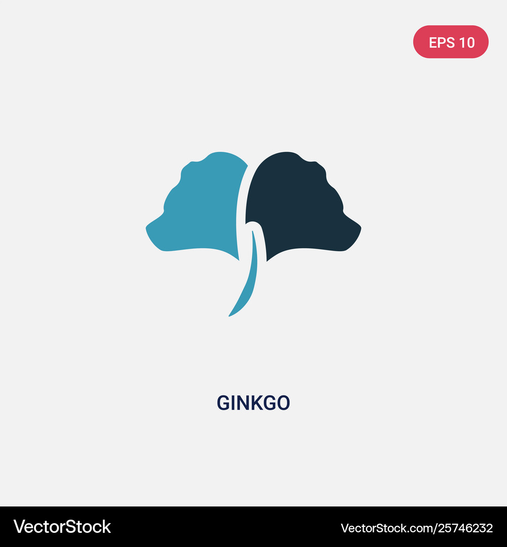 Two color ginkgo icon from nature concept Vector Image