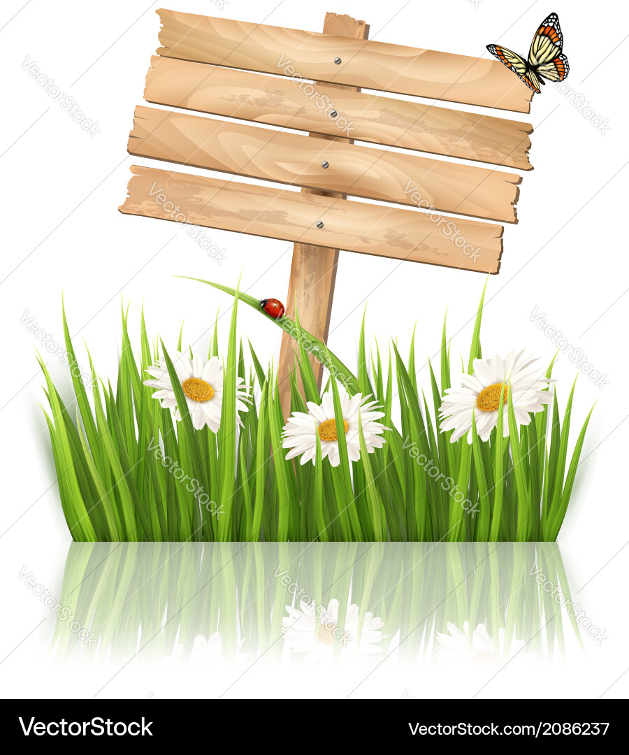 Nature background with green grass and flowers Vector Image