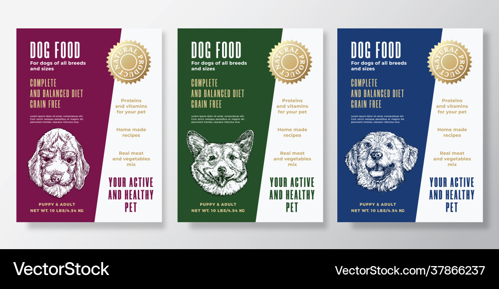 Pet food label templates set abstract Royalty Free Vector