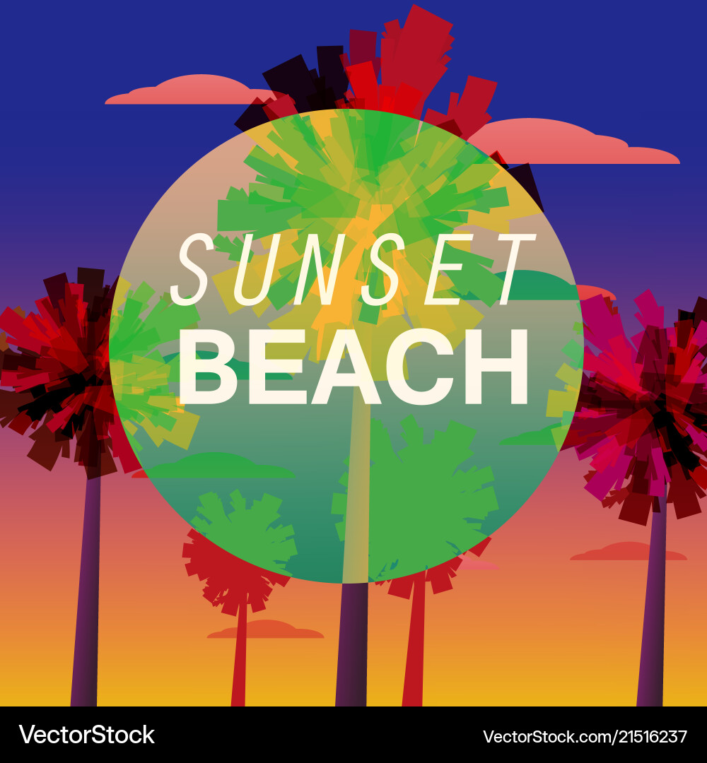Sunset beach flyer baner invitation tropical Vector Image