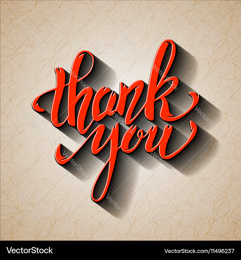 Thank you hand drawn lettering with shadow effect Vector Image