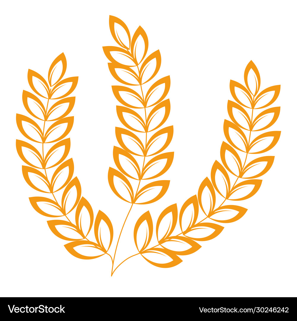 Spikelets isolated icon wheat or barley heraldic Vector Image