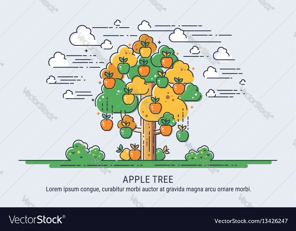 Apple tree Royalty Free Vector Image - VectorStock