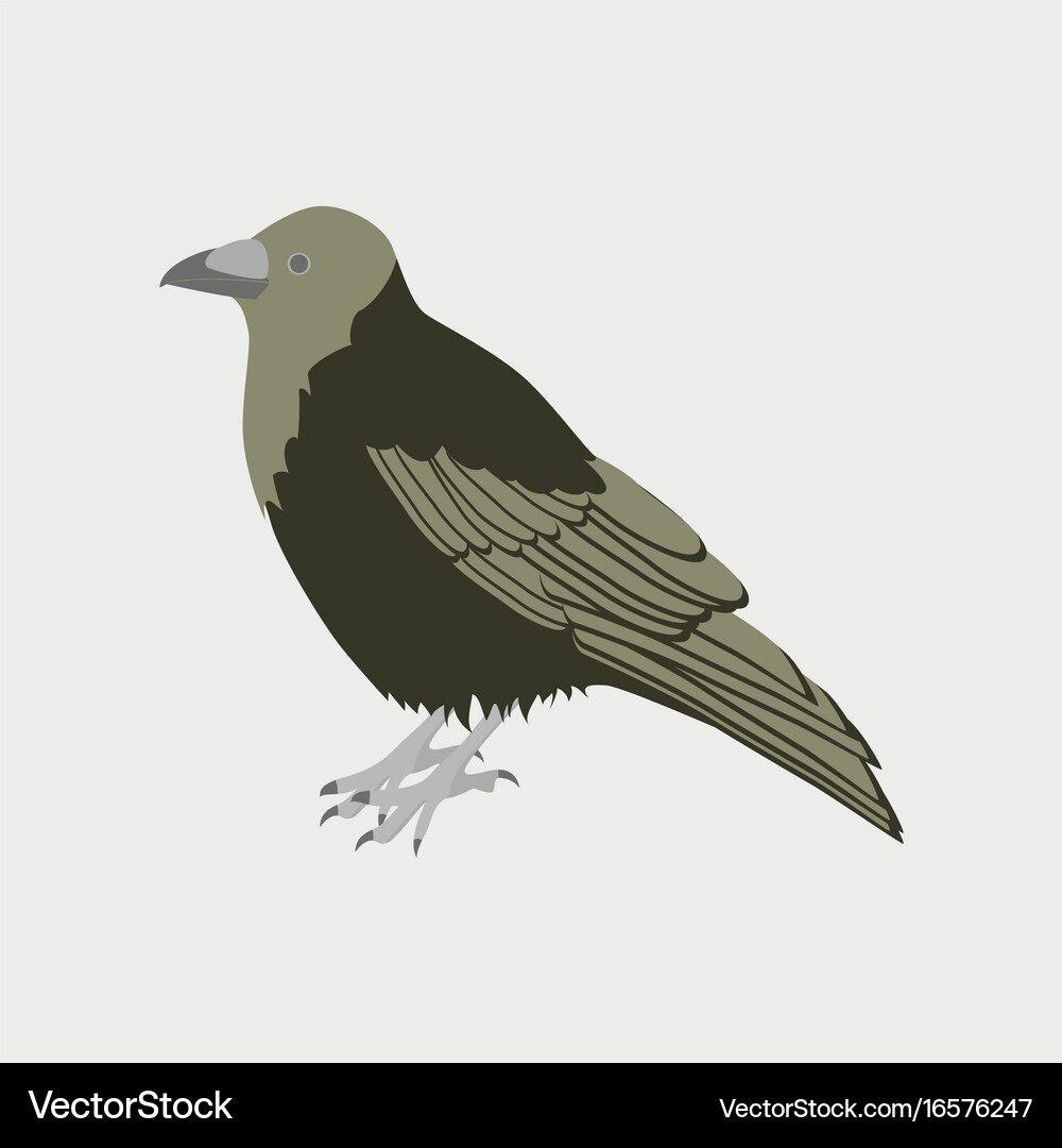 In flat style of raven Royalty Free Vector Image