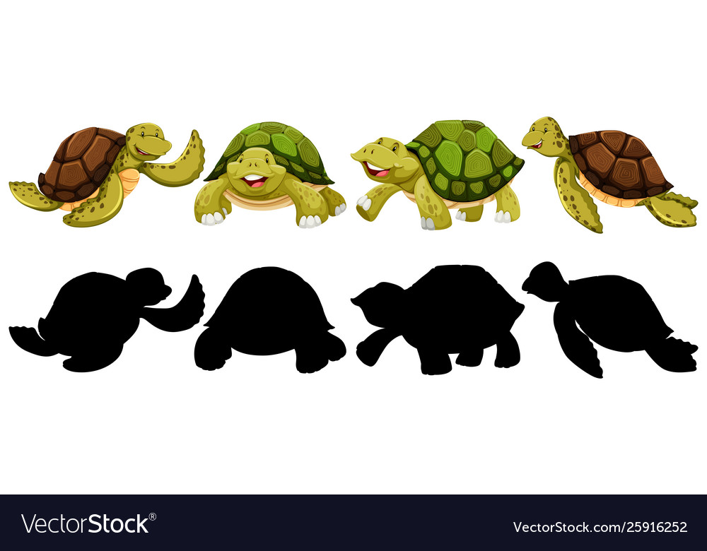 Set turtle character Royalty Free Vector Image