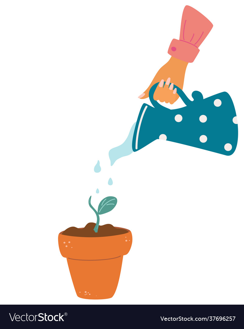 Hand holding watering can plant pot Royalty Free Vector Hand holding watering can plant pot Royalty Free Vector