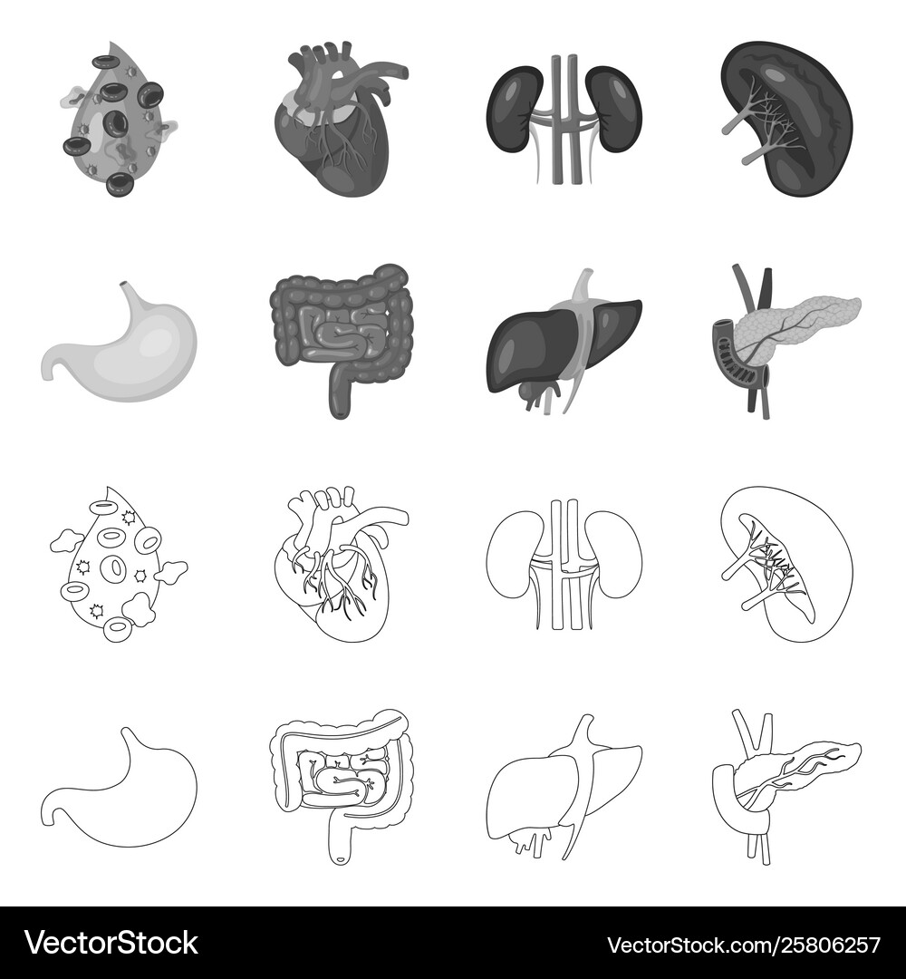 Isolated object biology and scientific sign Vector Image