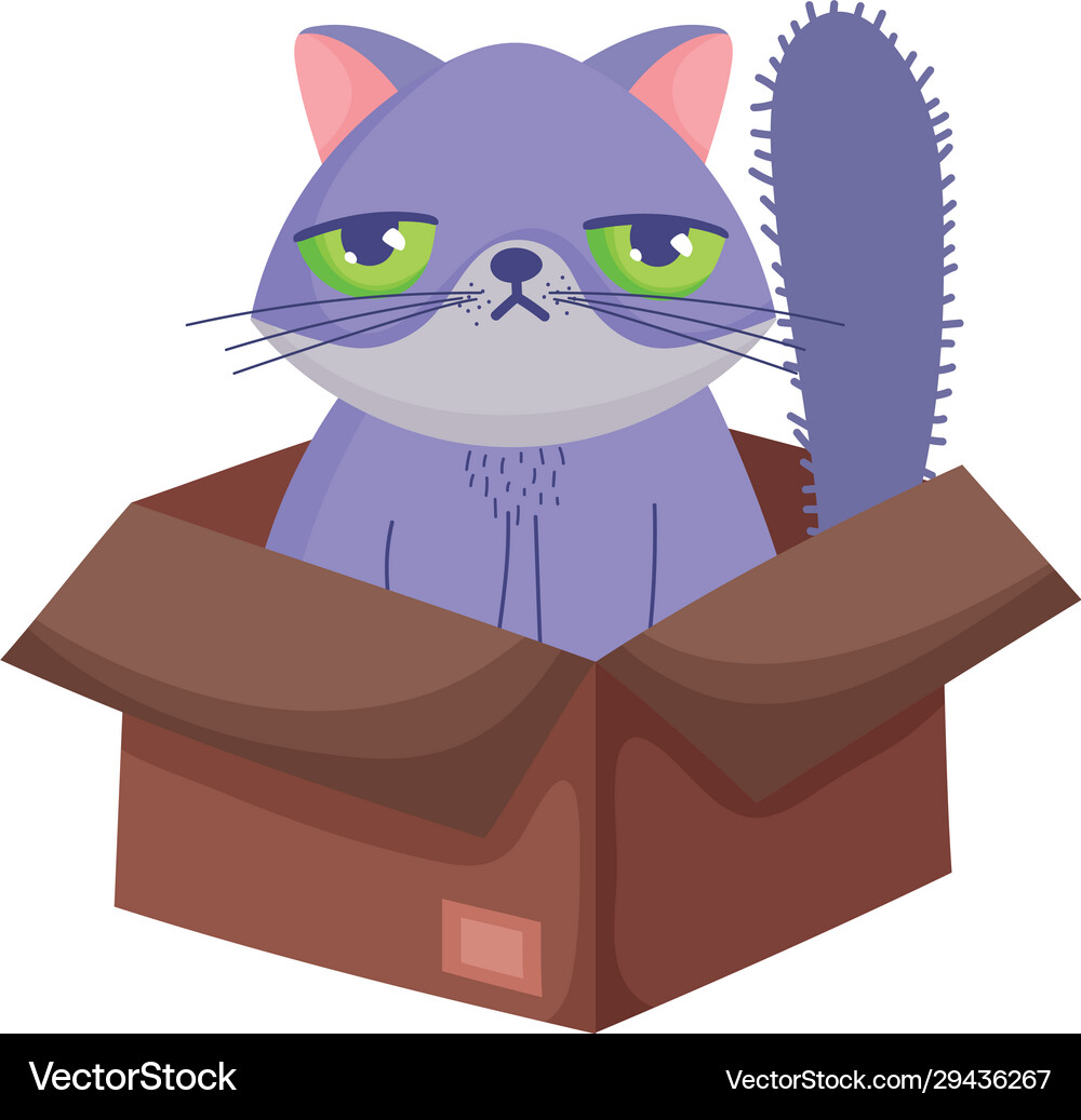 Sad face cat sitting in cardboard box abandoned Vector Image