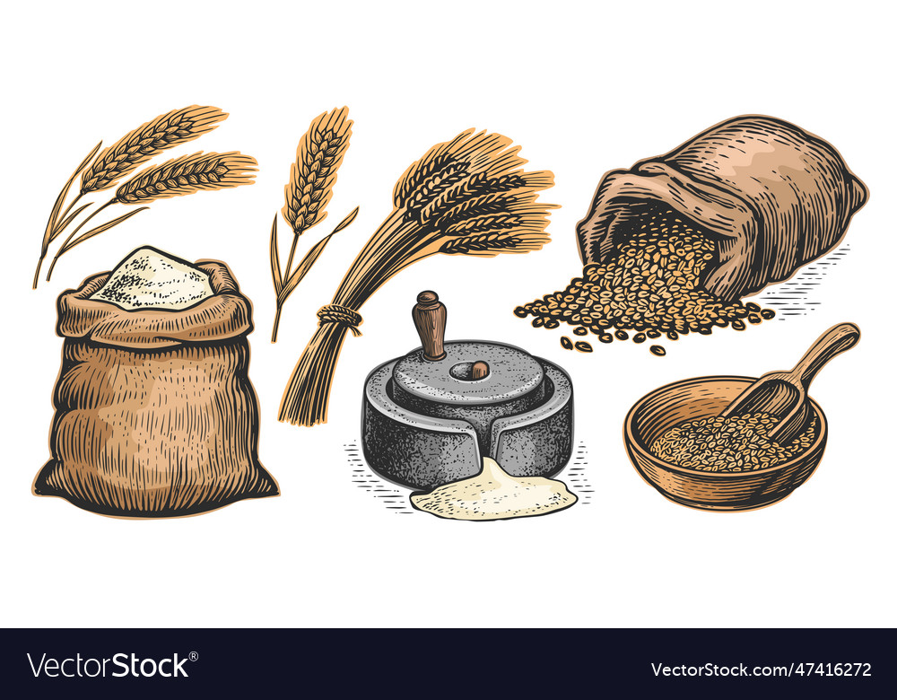 Bread making concept collection Royalty Free Vector Image