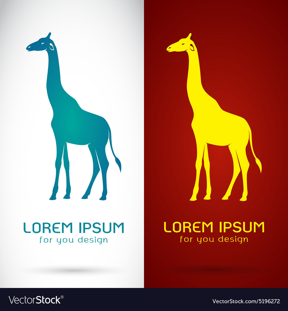 Giraffe Royalty Free Vector Image - VectorStock