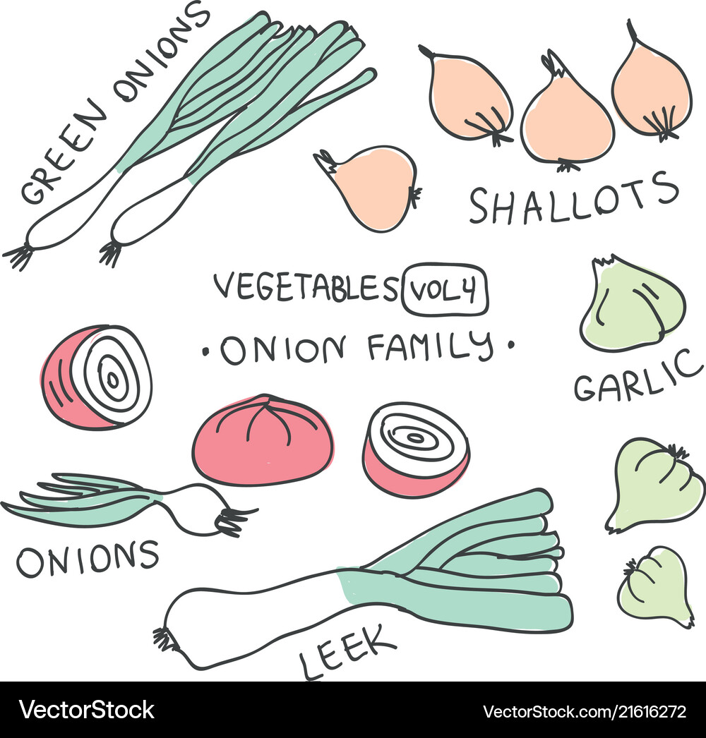 Set with hand drawn colorful doodle vegetables Vector Image
