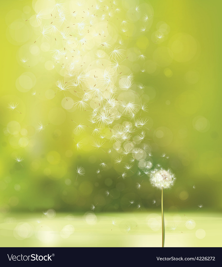 Spring landscape Royalty Free Vector Image - VectorStock