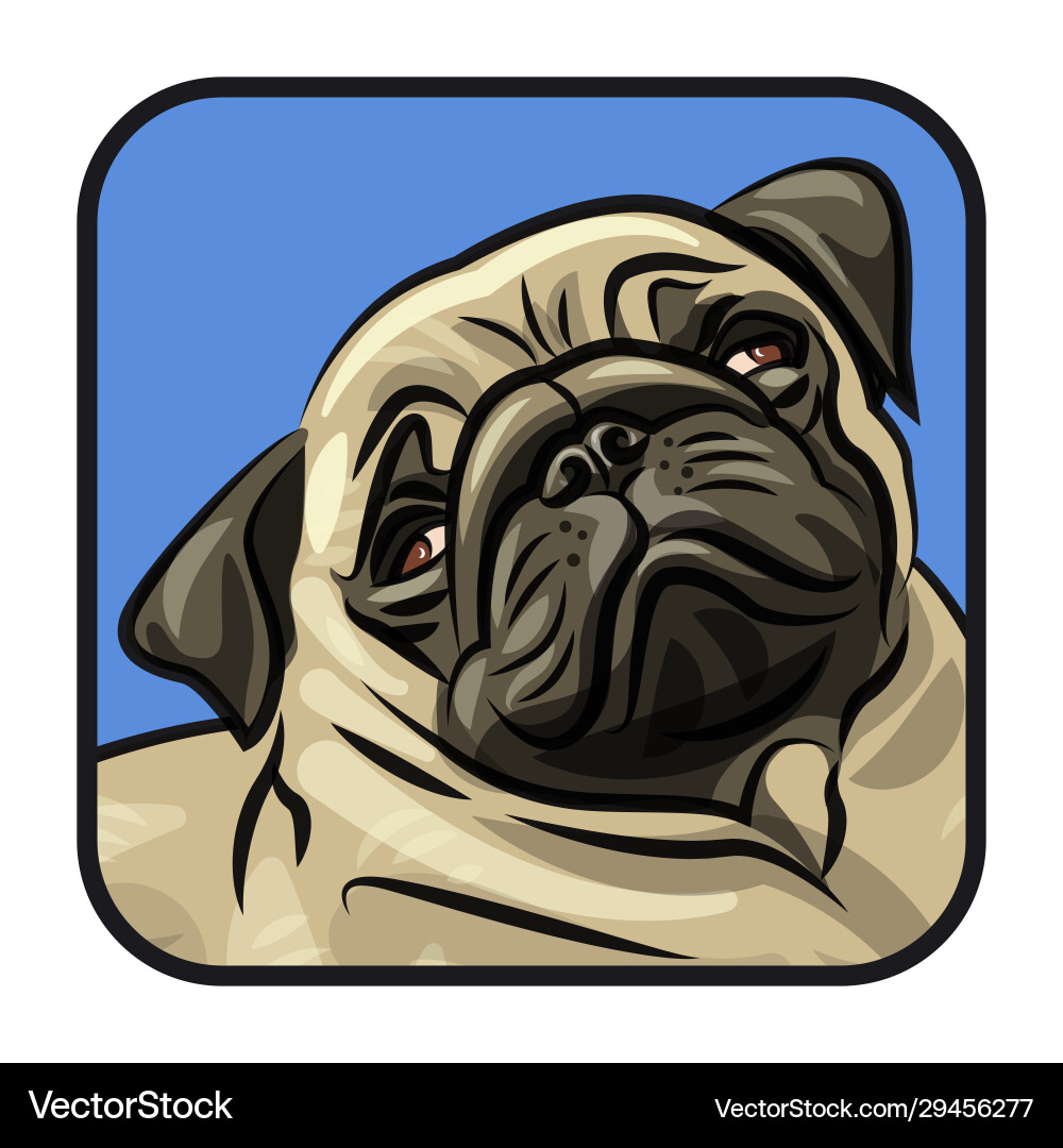 Dog puppy portrait Royalty Free Vector Image - VectorStock