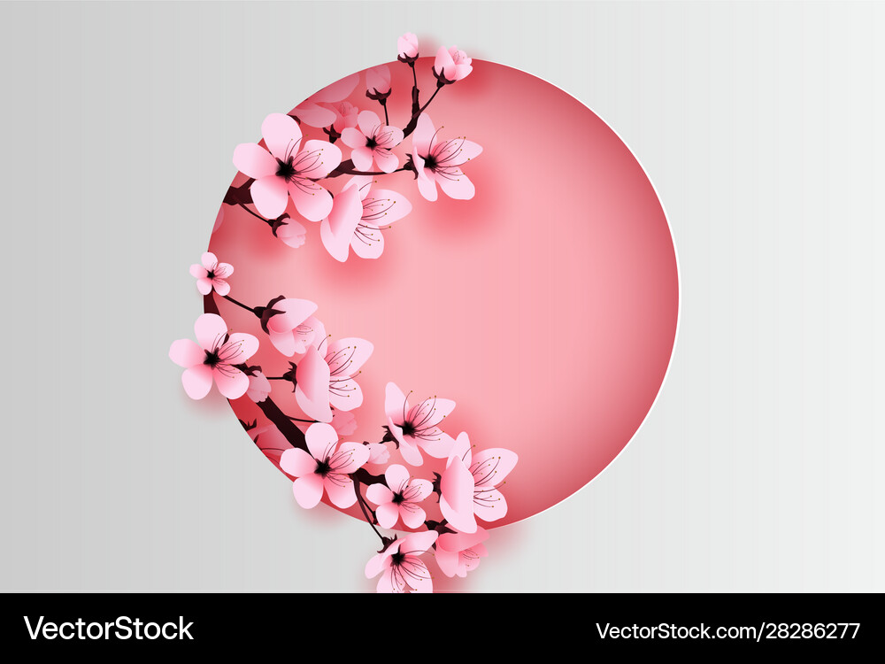 Paper art and craft circle decorated spring Vector Image
