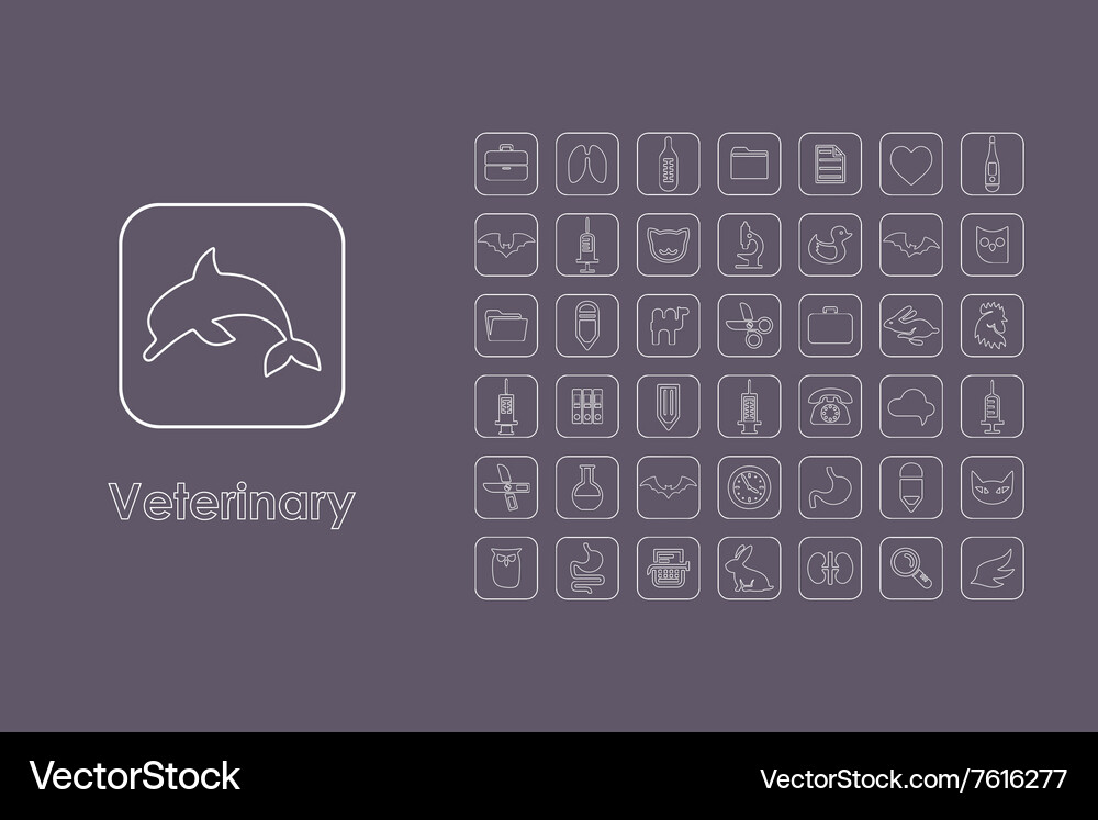 Set of veterinary simple icons Royalty Free Vector Image