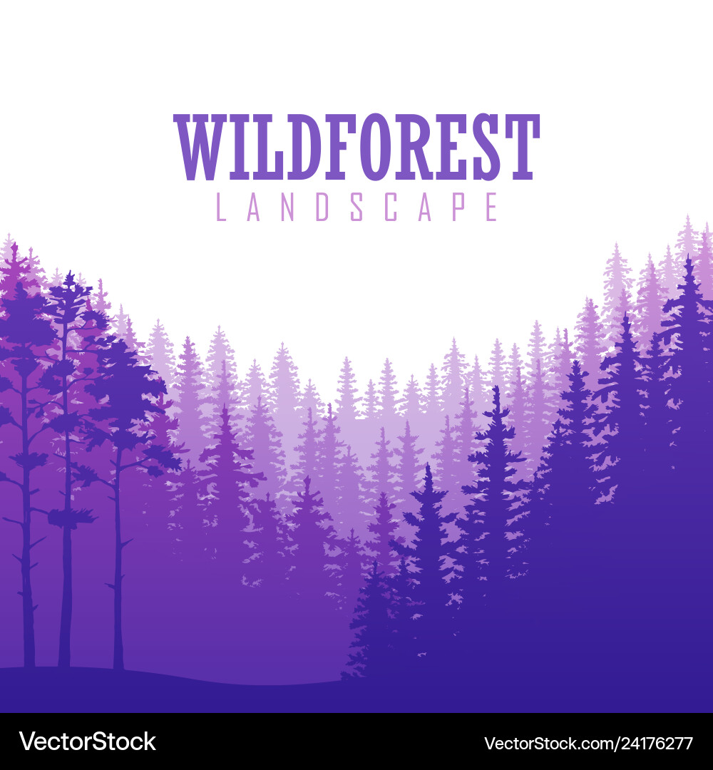 Wild coniferous forest background pine tree Vector Image