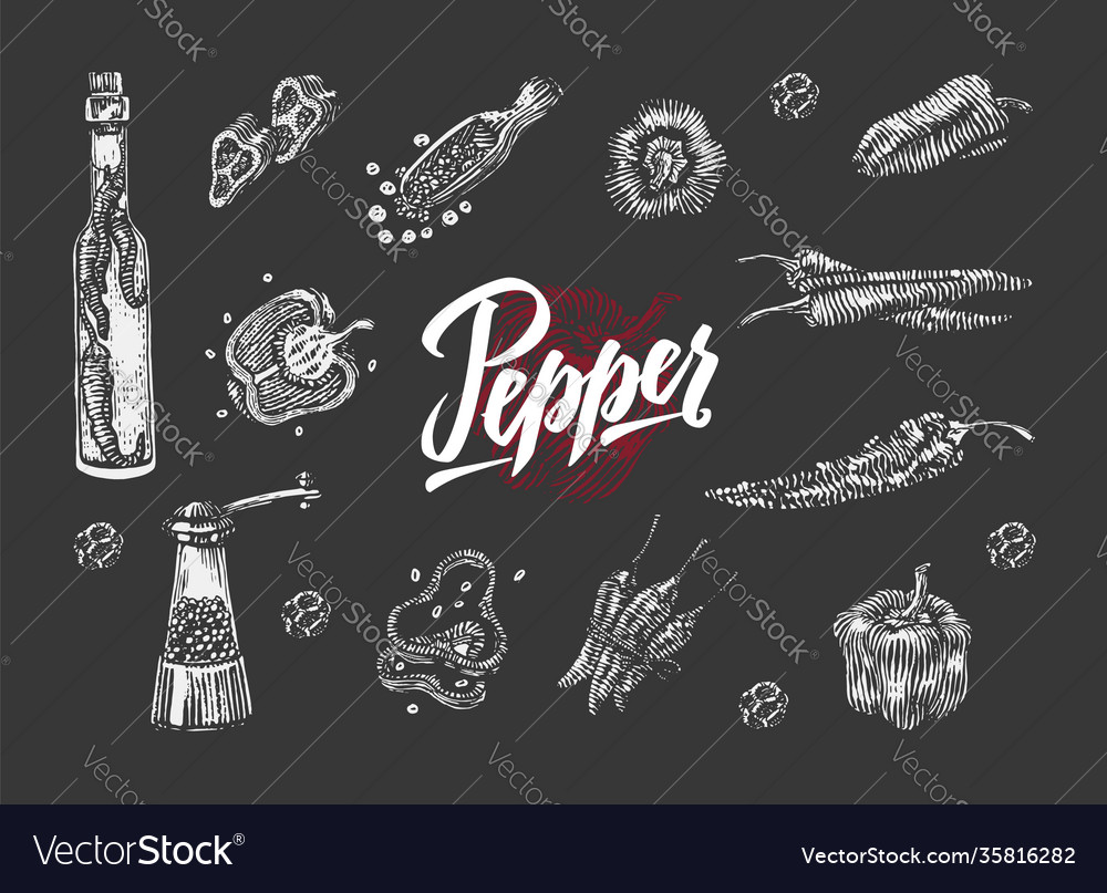 Chili pepper elements collection Royalty Free Vector Image