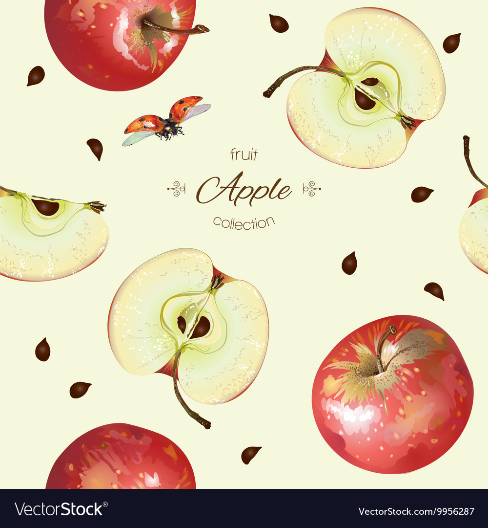 Apple seamless pattern Royalty Free Vector Image