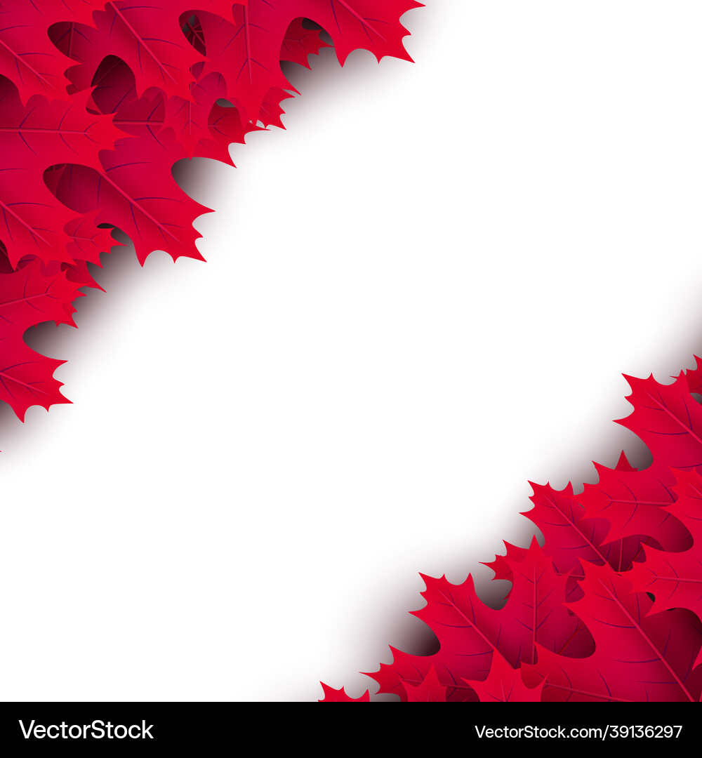 Autumn background with crimson maple leaves Vector Image