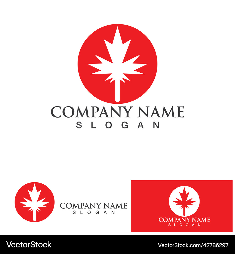 Maple leaf logo design template Royalty Free Vector Image